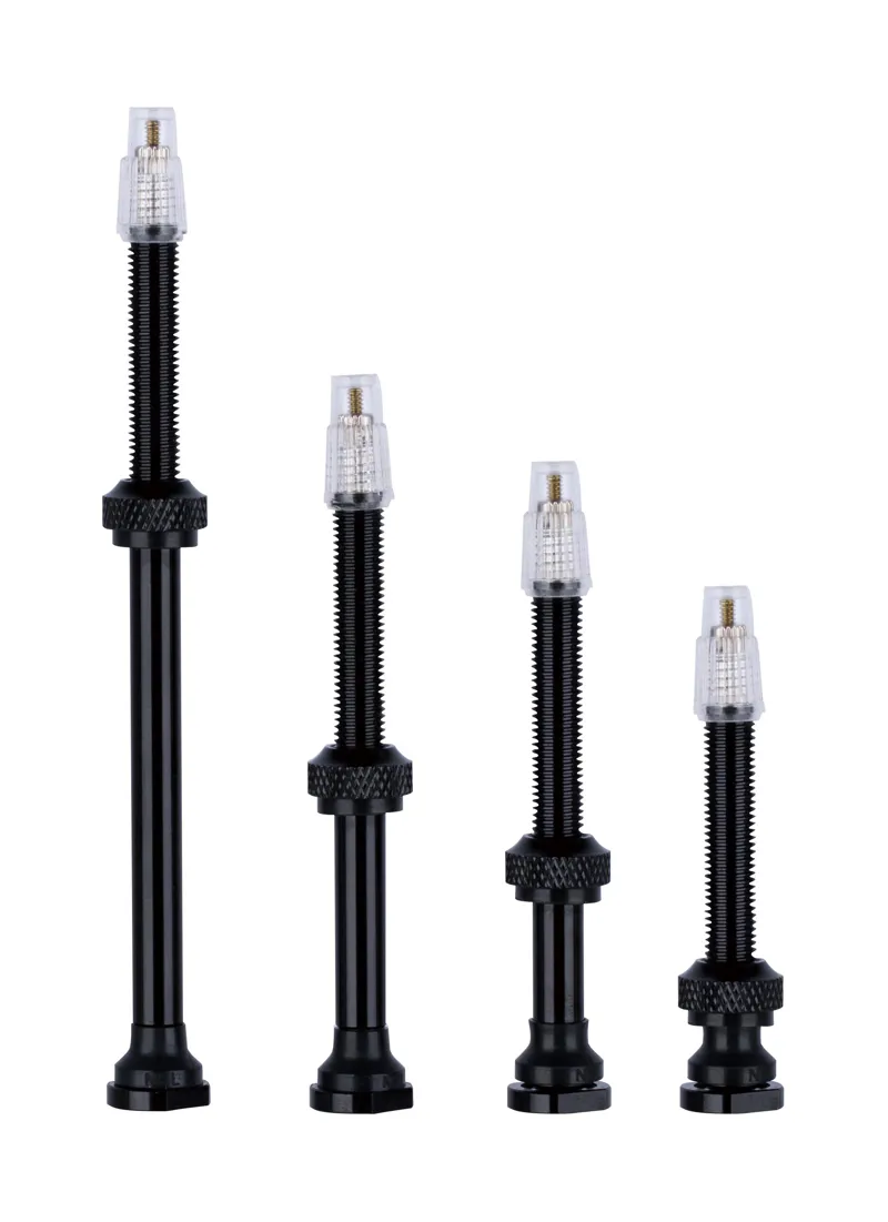 Vision Tubeless Valve and Extender